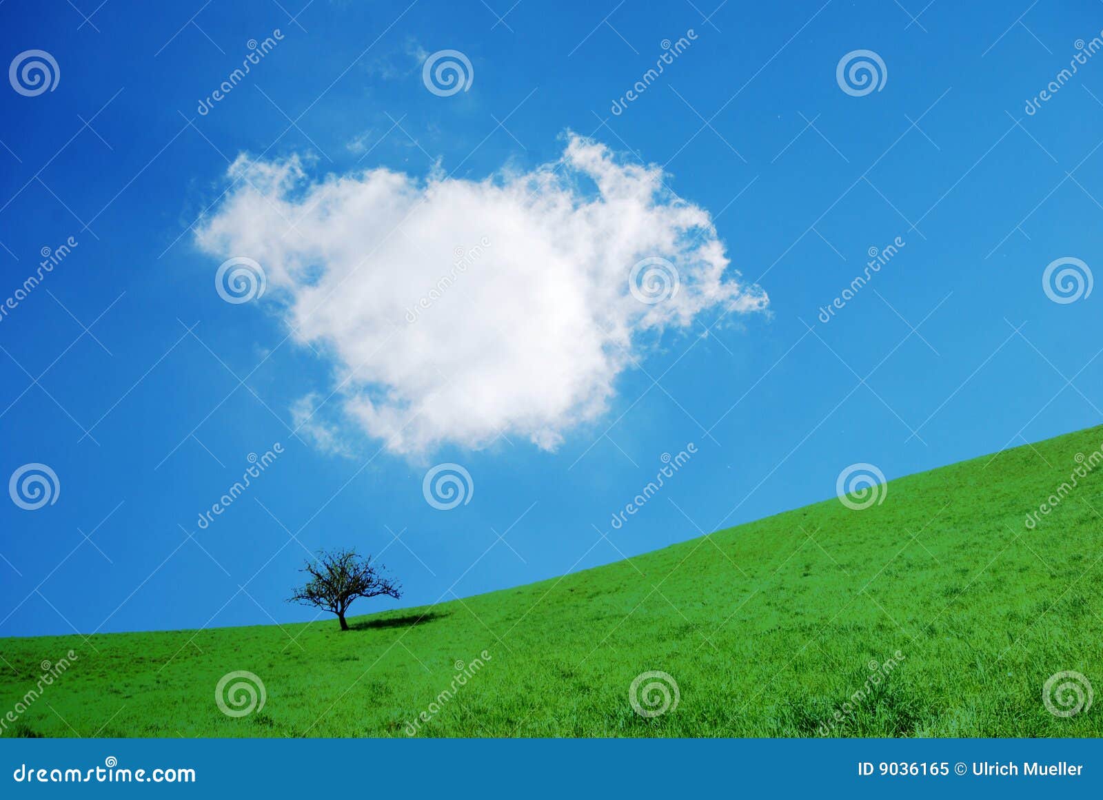 Tree with cloud stock image. Image of outdoor, outside - 9036165