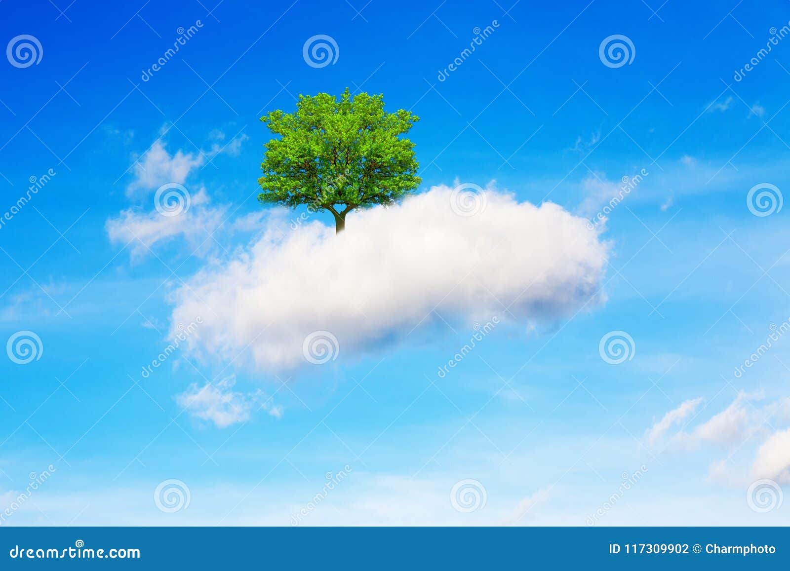 Tree, cloud and sky stock photo. Image of outside, clouds - 117309902