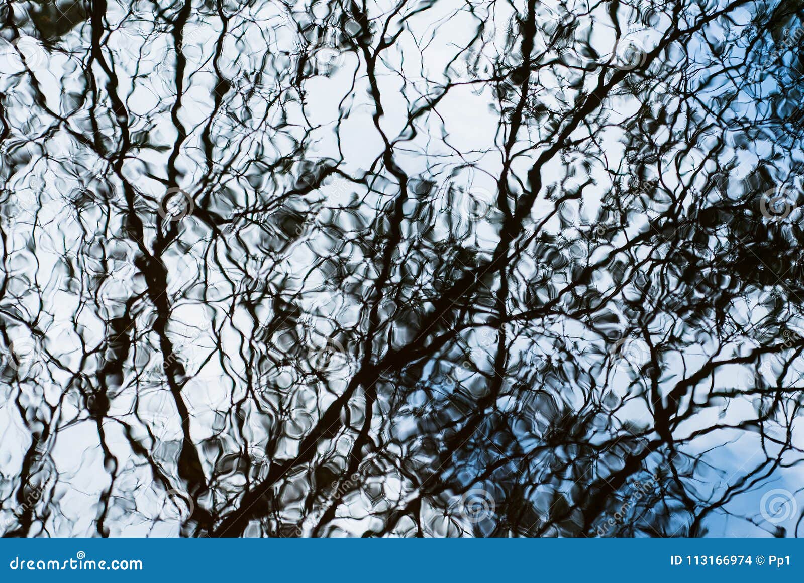 Tree Cloud Sky Abstract Water Reflection Forest Stock Photo - Image of ...