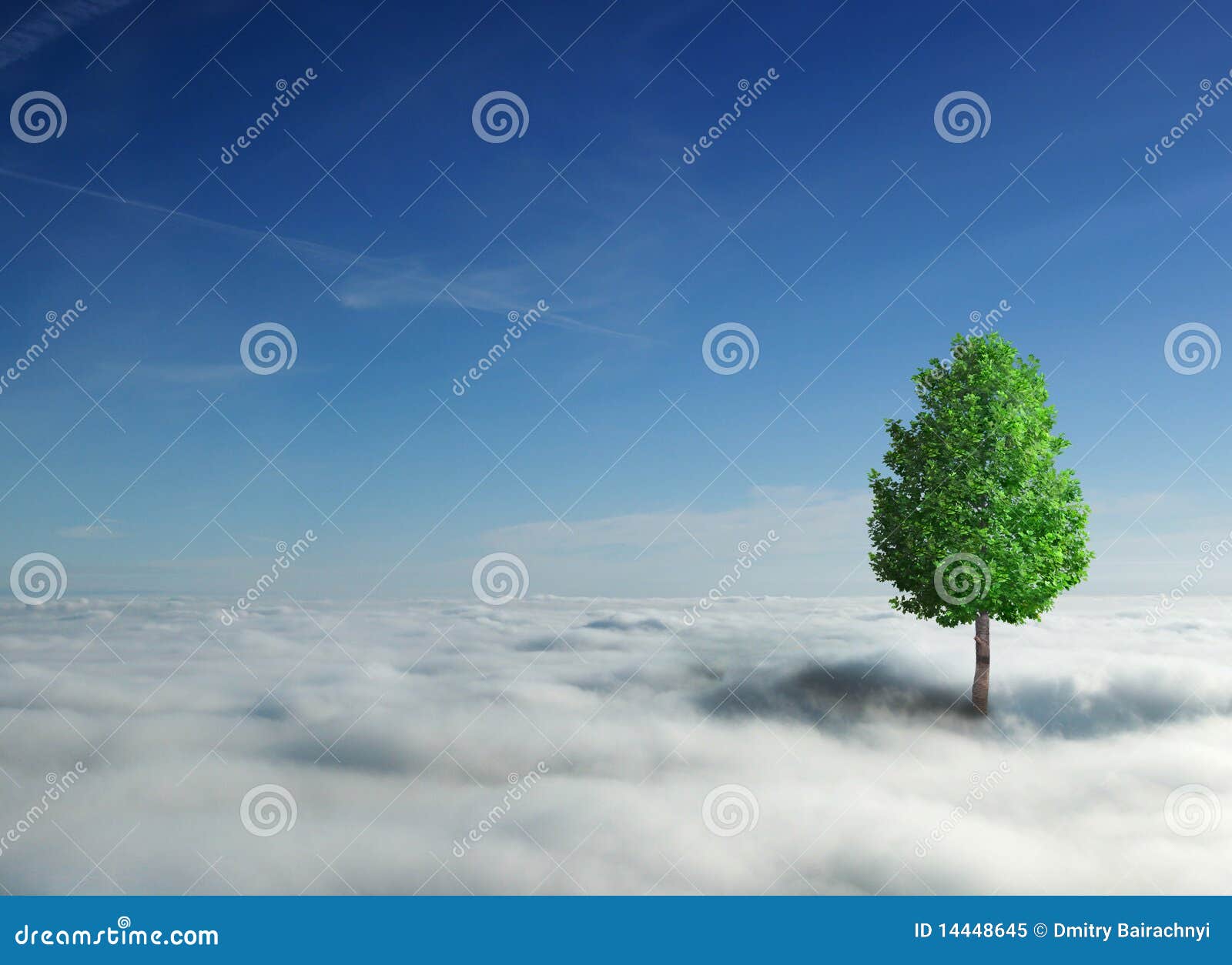 Tree and clouds stock image. Image of blue, color, tree - 14448645
