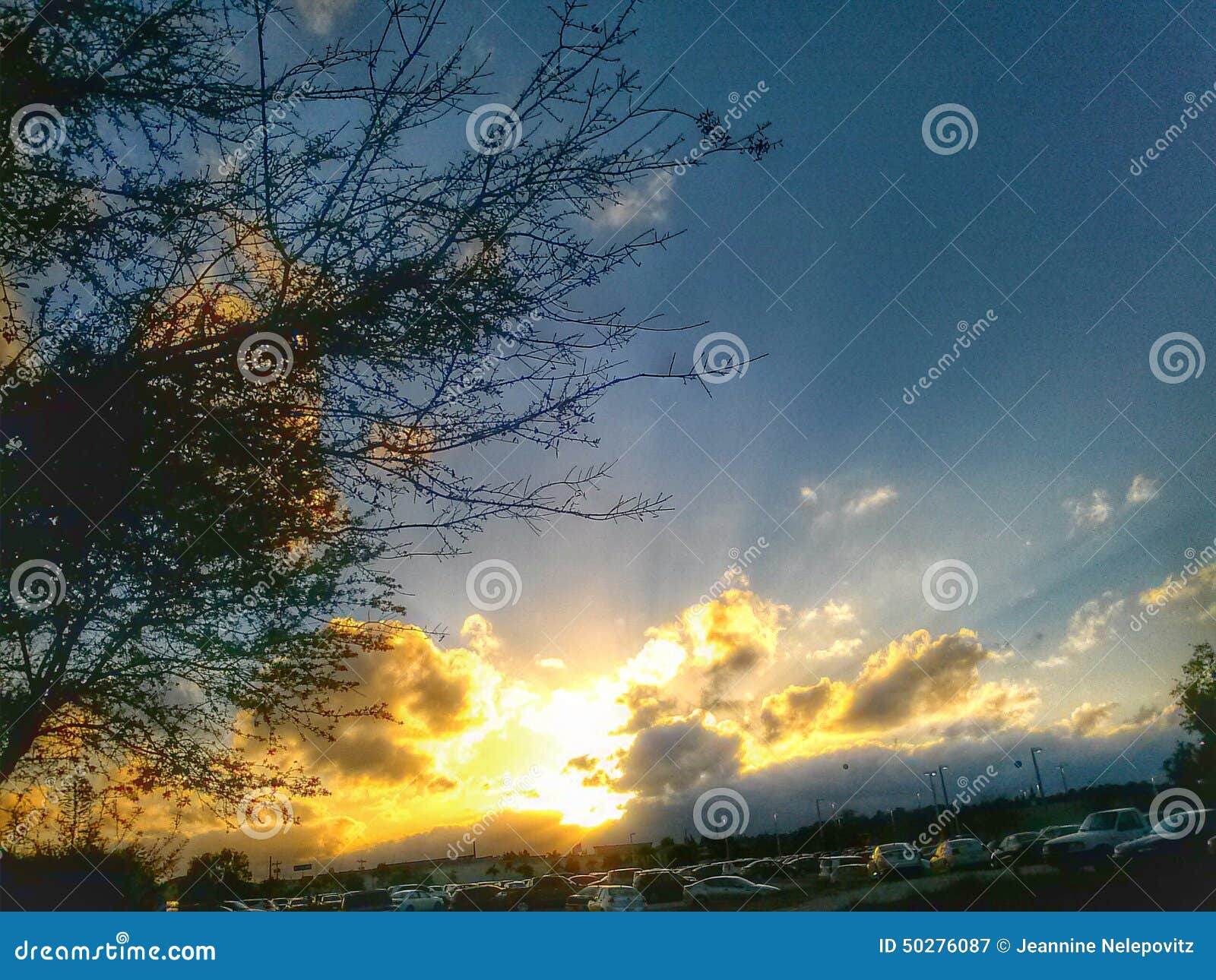 Tree and Clouds stock image. Image of sunlight, nature - 50276087