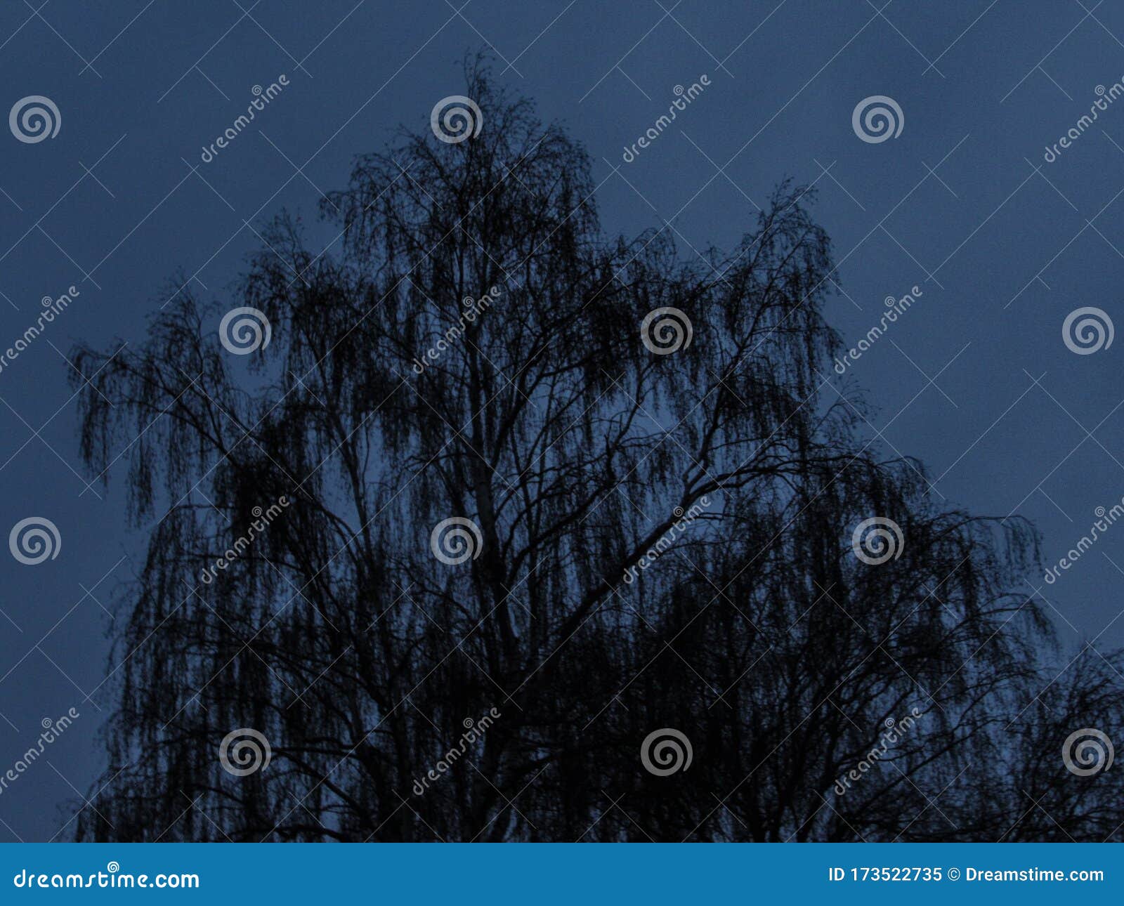 Tree on Cloudy Sky Background Stock Image - Image of wrapped, weather ...