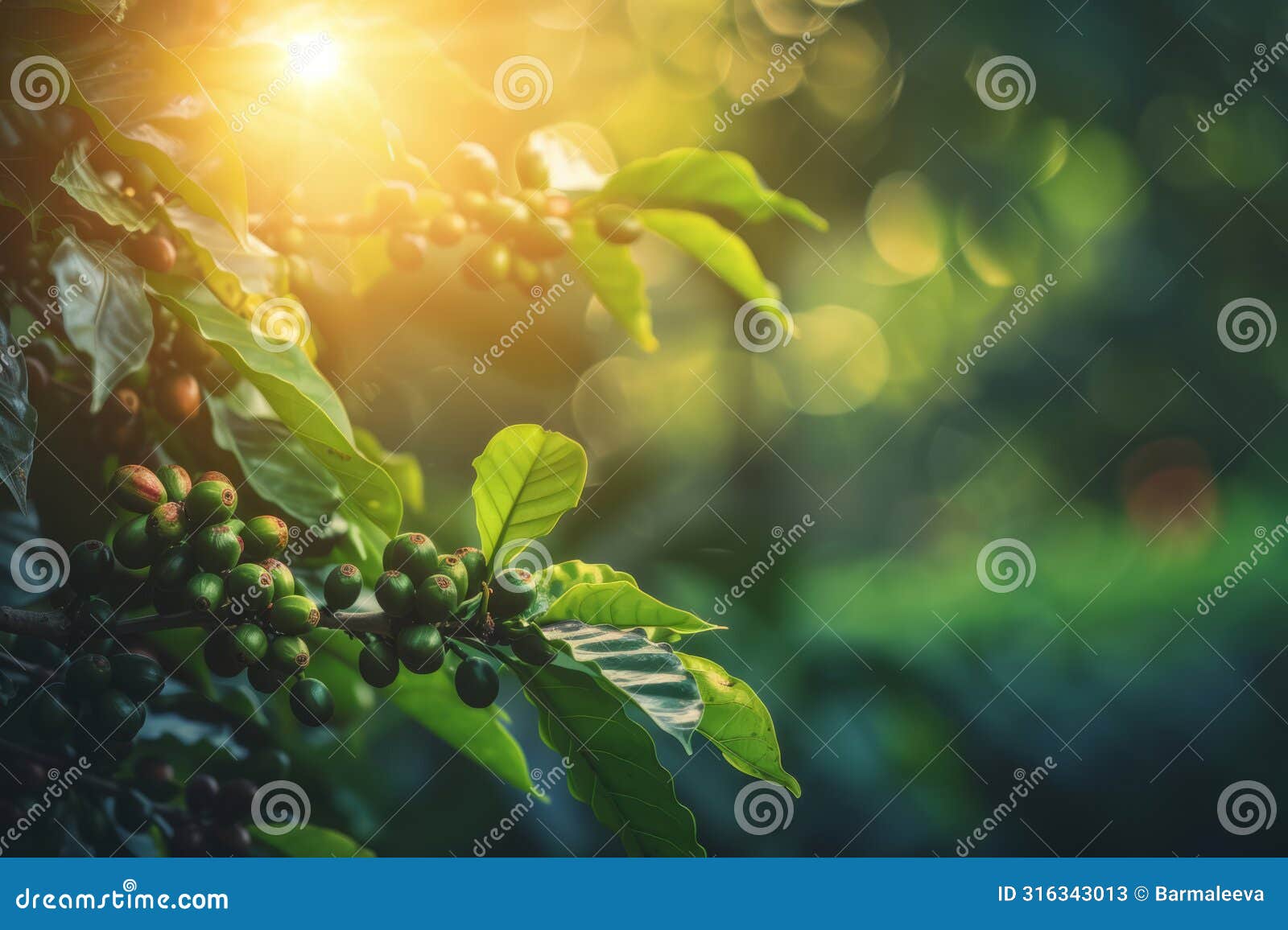 Tree with Coffee Beans Growing on it in Coffee Farm. Generative AI ...