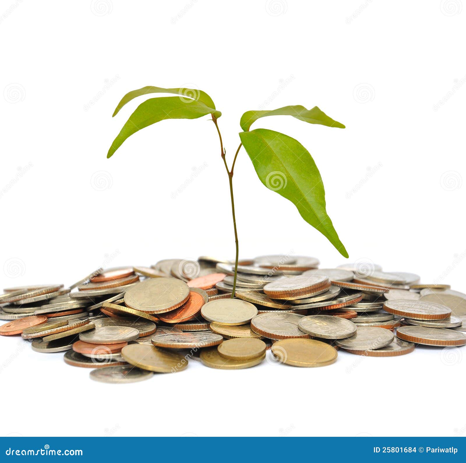 Tree on coin stock photo. Image of abstract, green, financial - 25801684