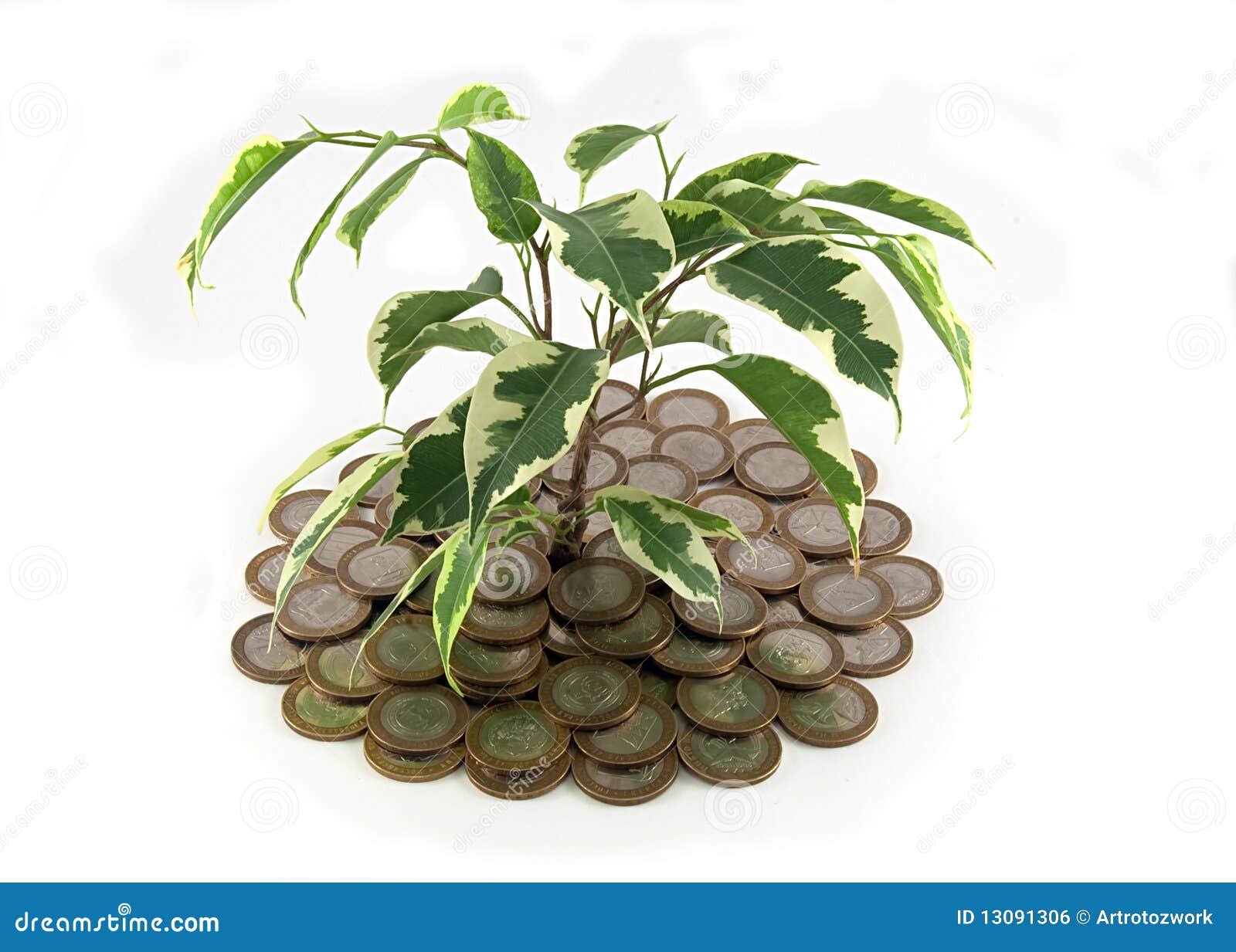 Tree coins stock photo. Image of concepts, banking, account - 13091306
