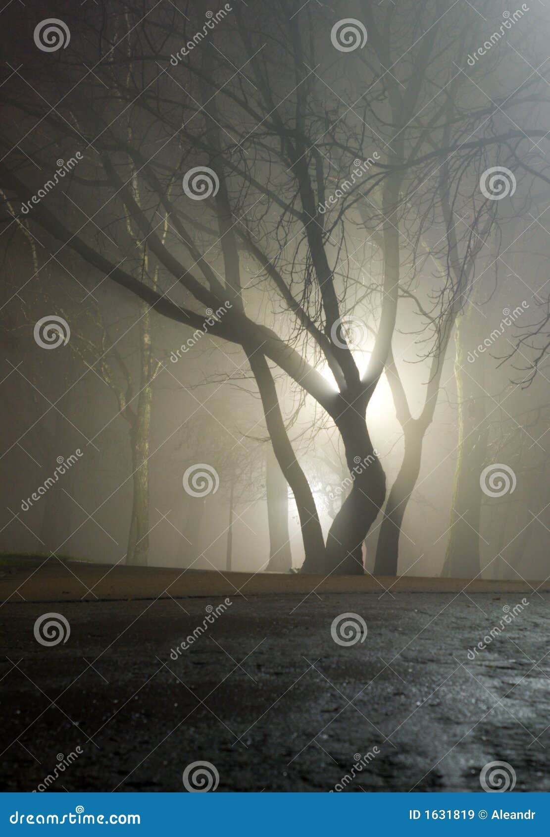 Tree is in cold light stock image. Image of lamps, nature - 1631819