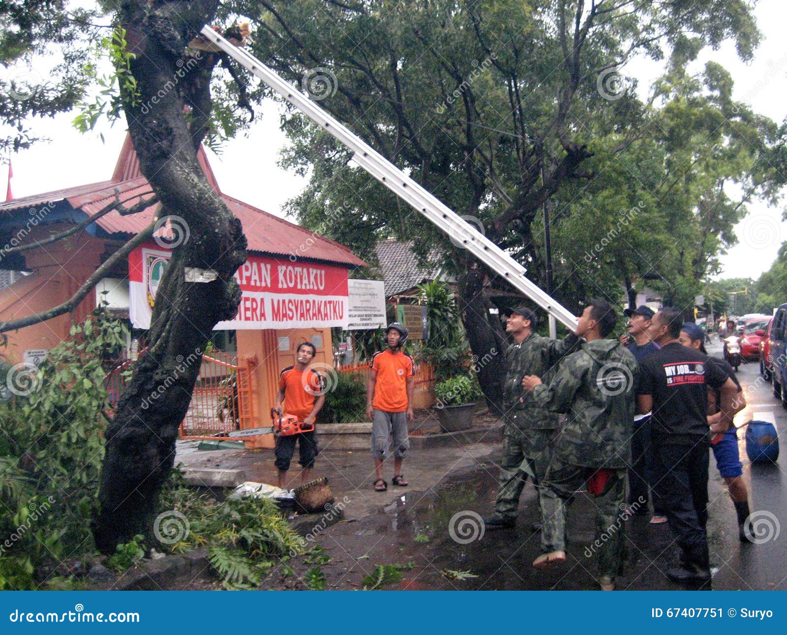 Tree collapsed editorial photo. Image of java, landscape - 67407751