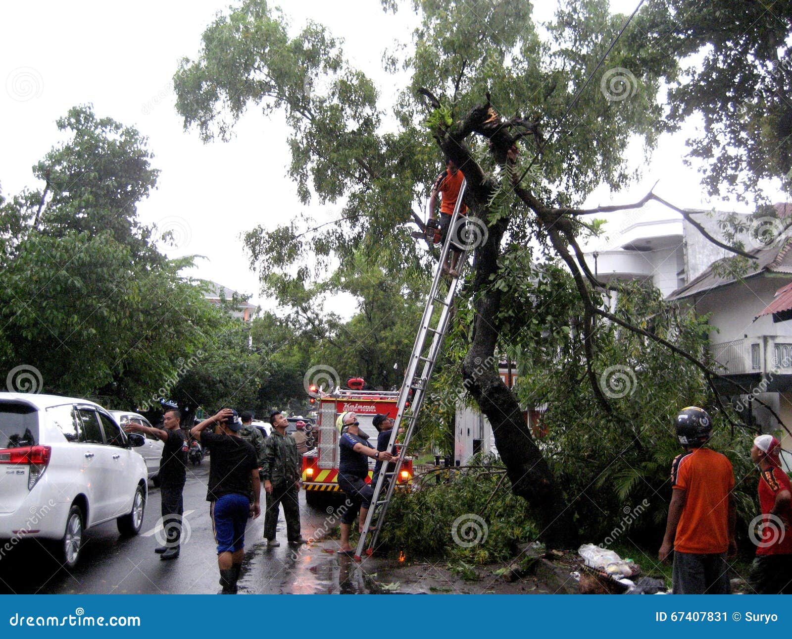 Tree collapsed editorial photo. Image of central, officers - 67407831