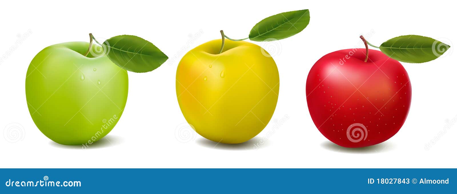 Tree Color Apples. Concept Design with Copy Space Stock Vector ...