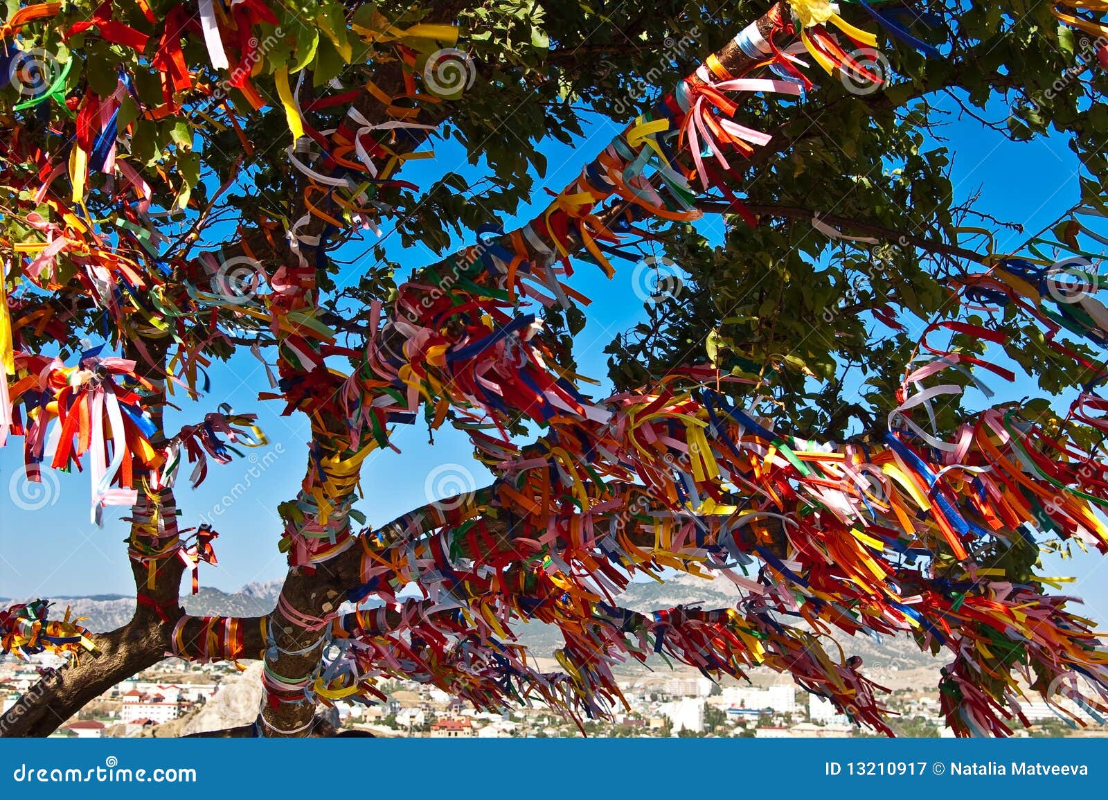 Tree with colored ribbons stock image. Image of tourism - 13210917