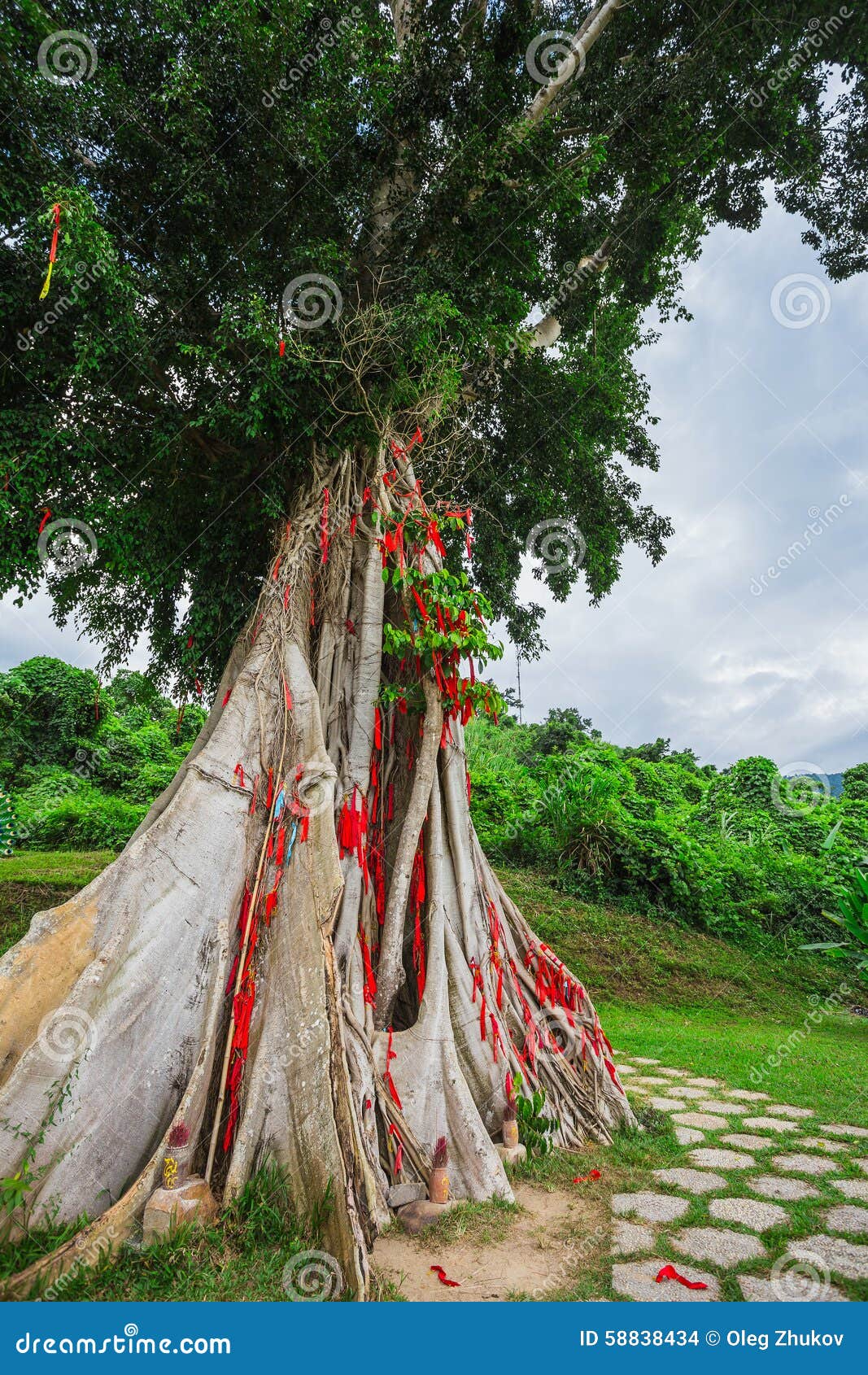 Tree with Colored Ribbons is Believed To Bring Luck. Stock Photo ...