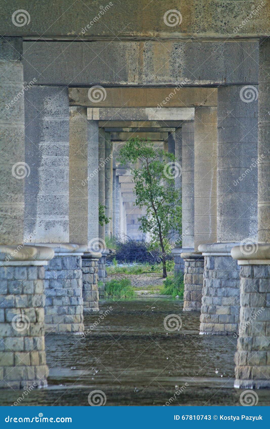 Tree of concrete columns stock image. Image of hiking - 67810743