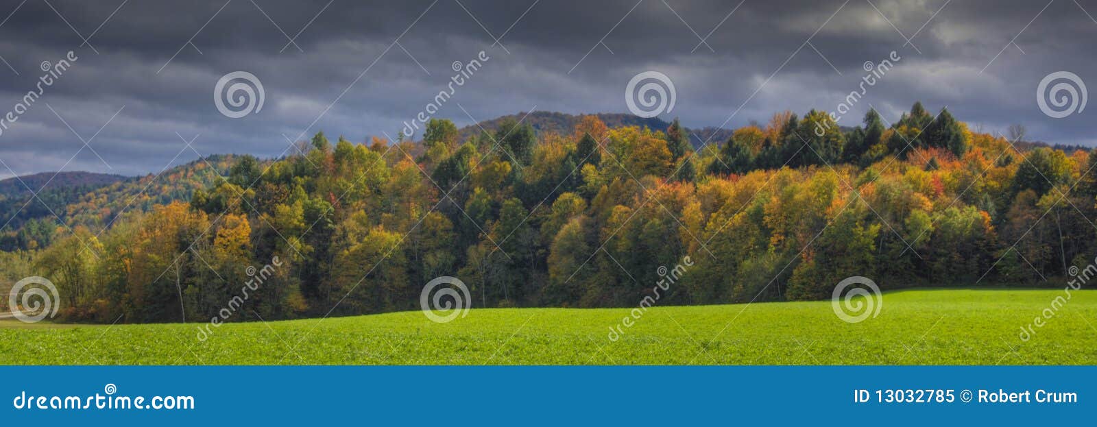 Tree Covered Hills in Autumn Stock Image - Image of rangeland ...