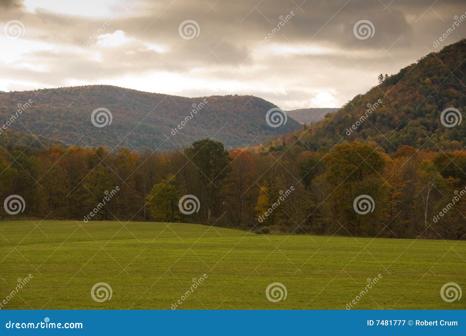 Tree Covered Hills in Autumn Stock Image - Image of autumnal, colour ...