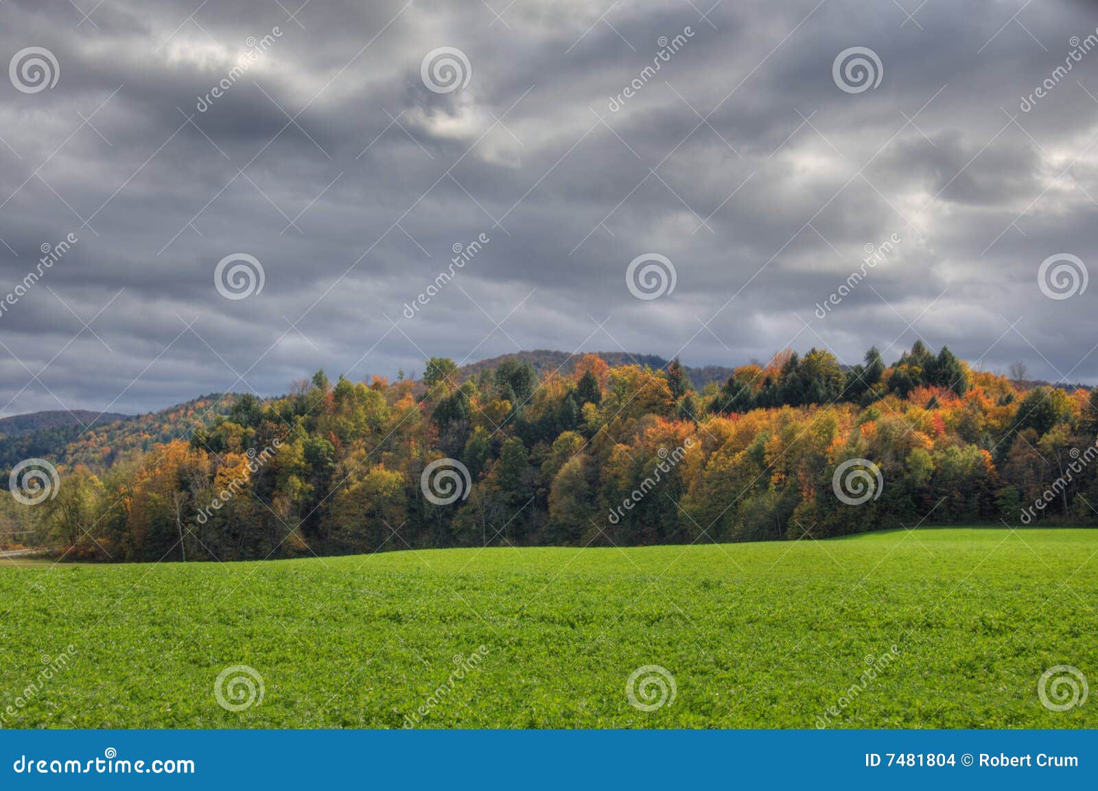 Tree Covered Hills in Autumn Stock Photo - Image of cloud, pasture: 7481804