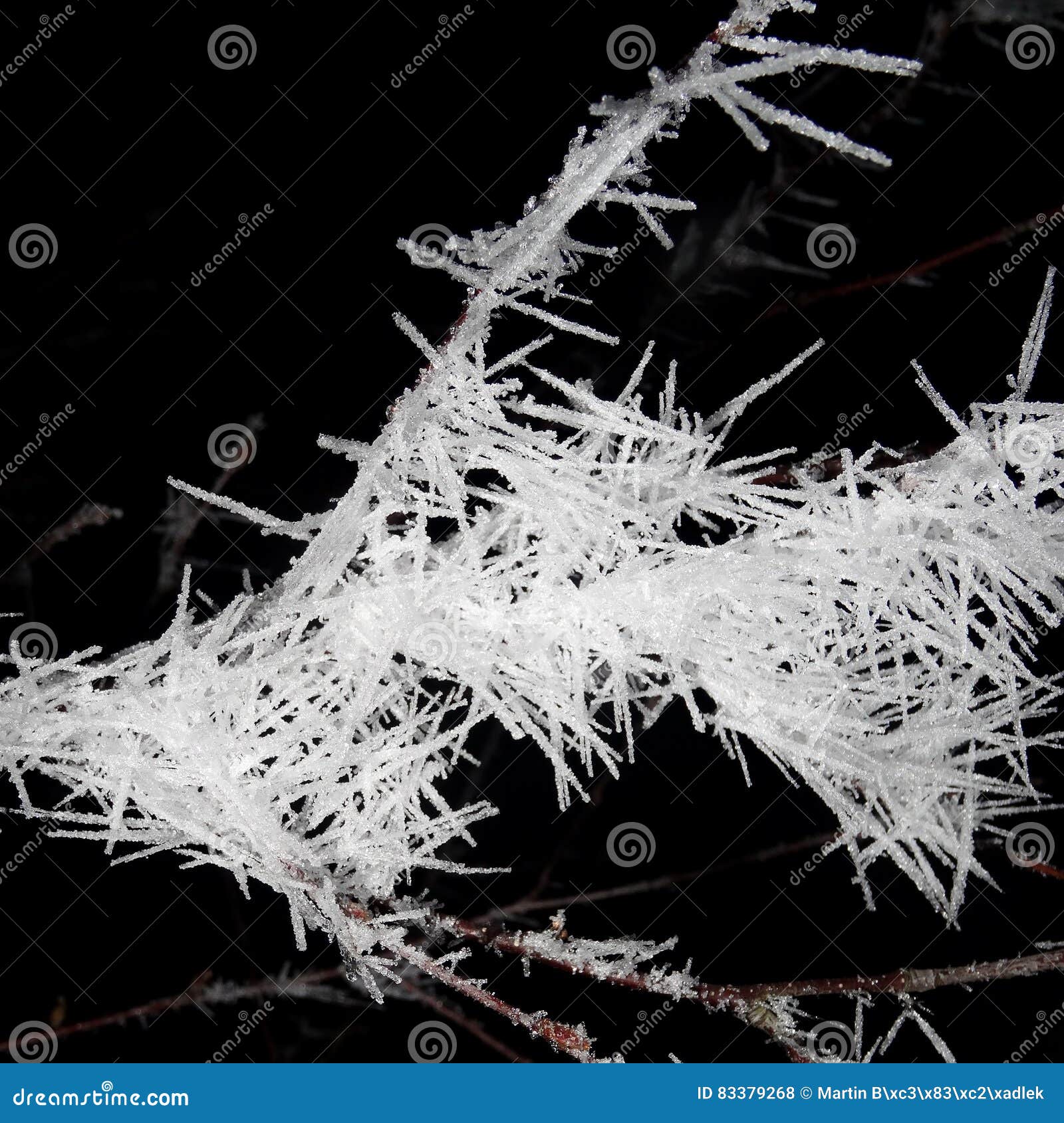 Tree Covered with Hoar Frost Close-up Stock Photo - Image of frosting ...