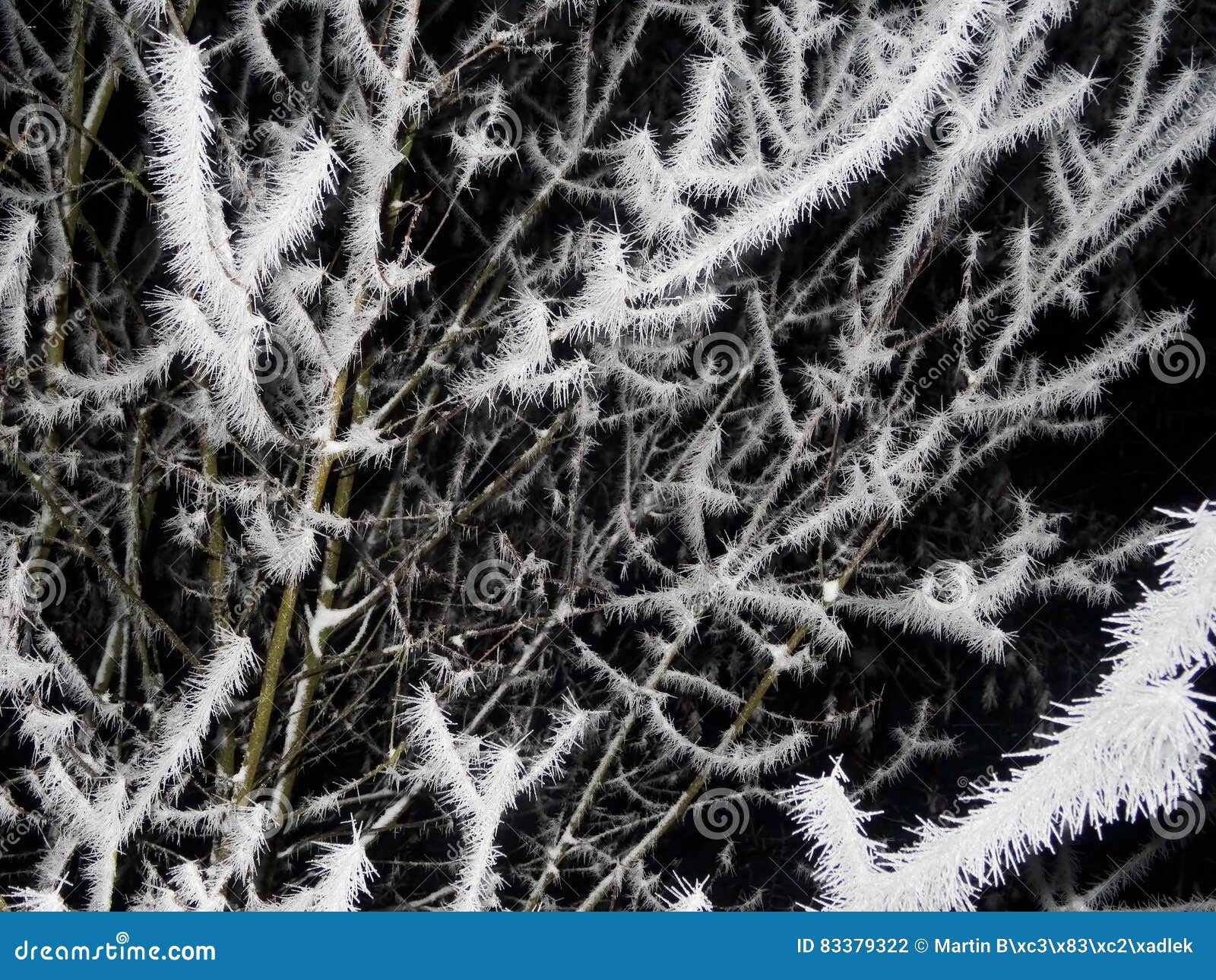 Tree Covered with Hoar Frost Close-up Stock Photo - Image of extreme ...