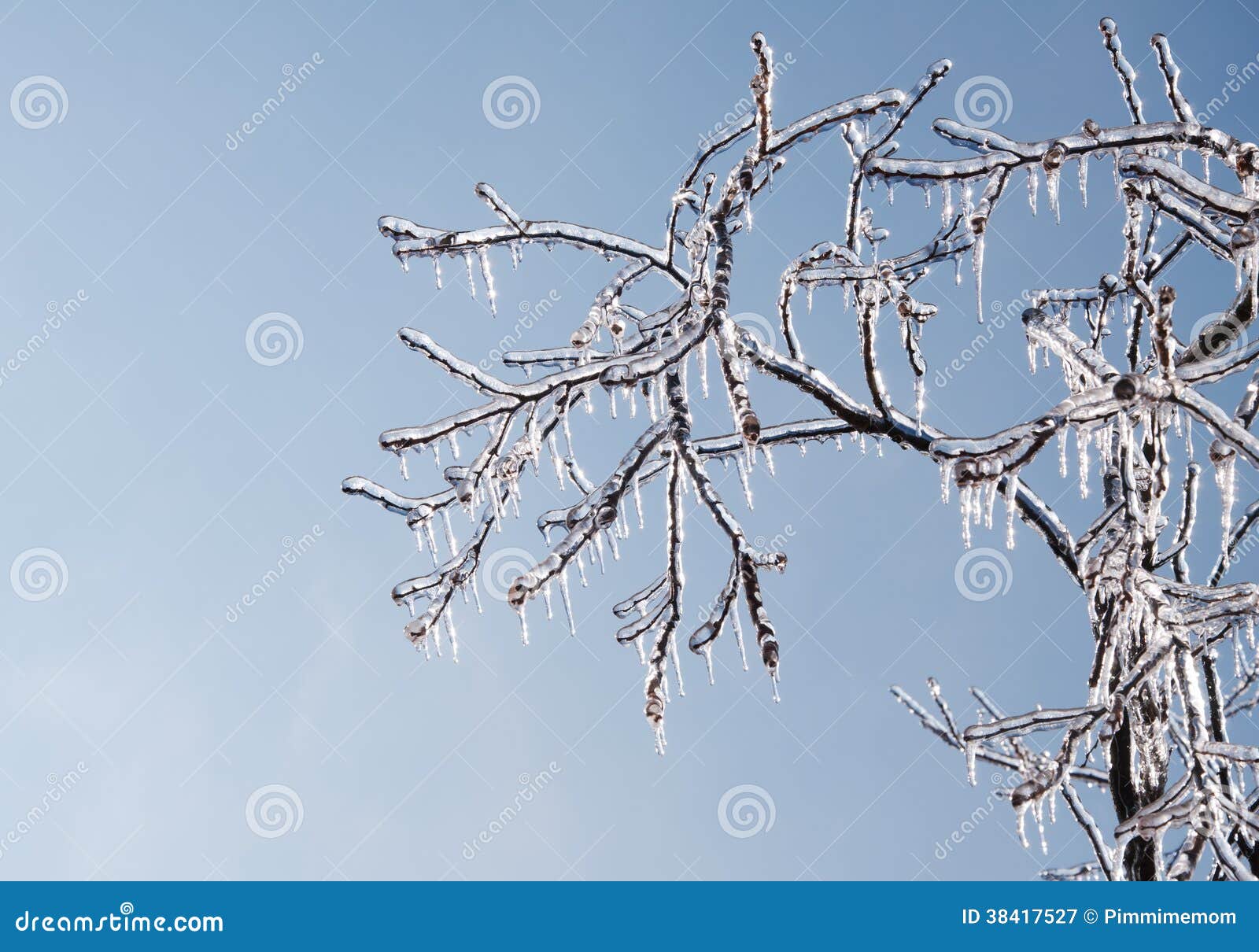 Tree Covered in Thick, Glittering Ice Stock Image - Image of scene ...