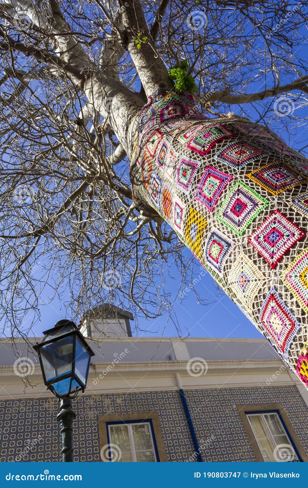 Tree, with the Crocheted Multi-colored Handmade Lace Around it`s Bark ...