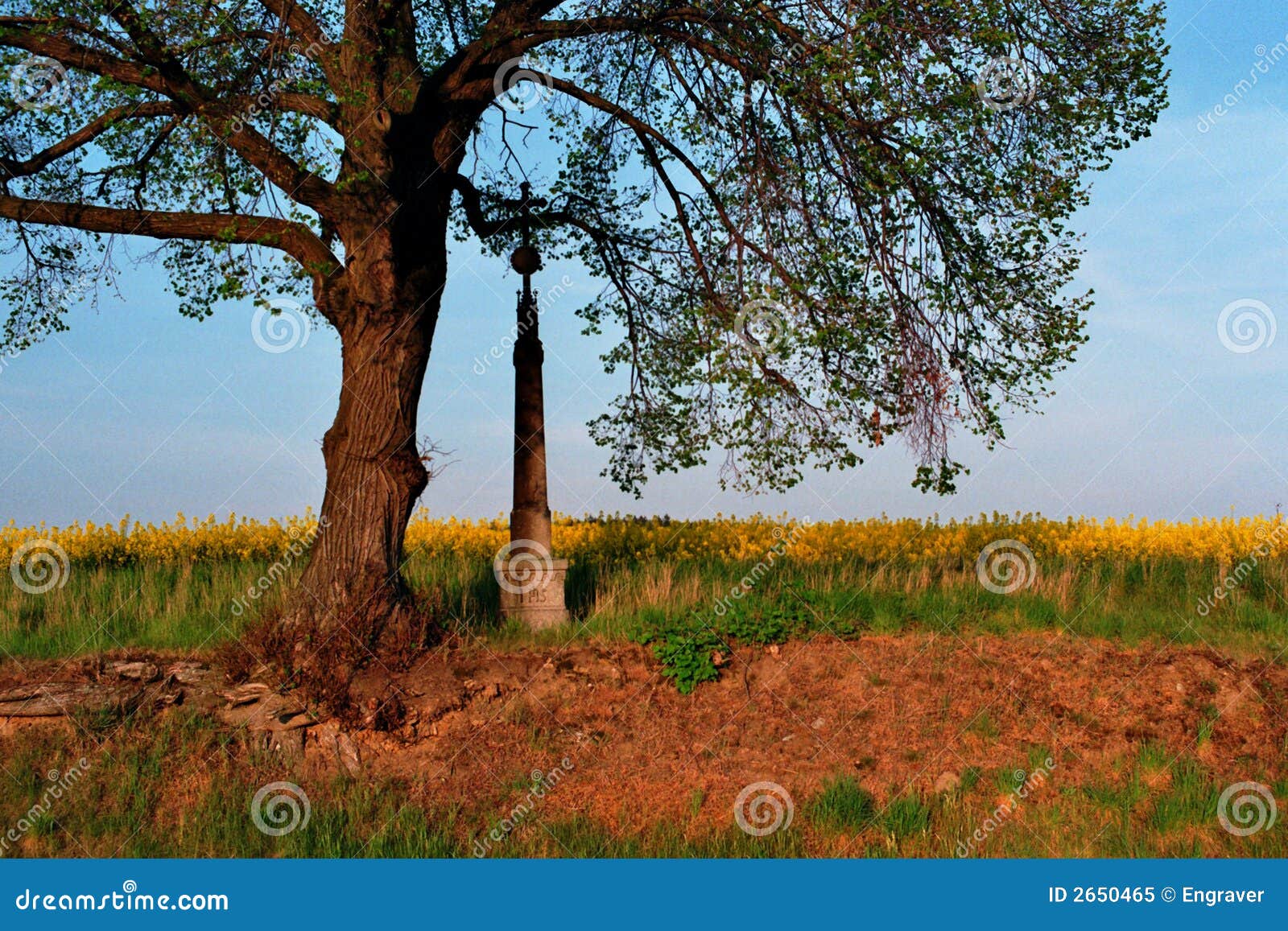 Tree-cross 4 stock image. Image of trees, plants, icon - 2650465