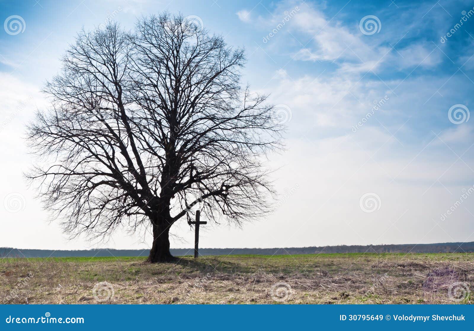 Tree and cross stock image. Image of inspiration, symbol - 30795649