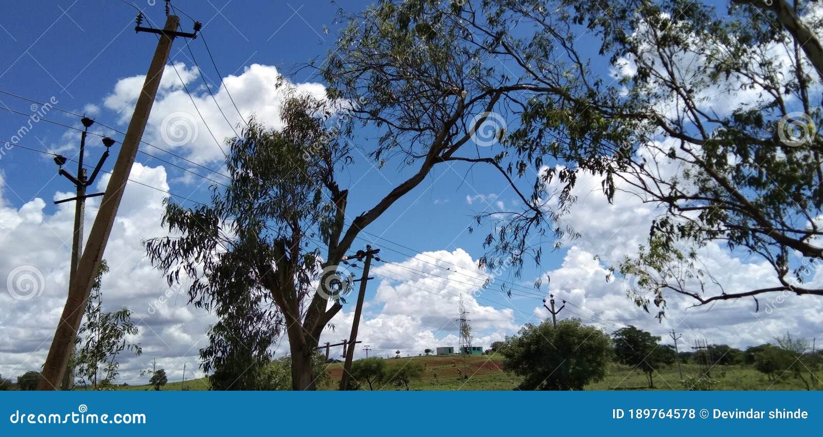 Tree Current Pol Clouds and Blue Sky Stock Photo - Image of blue ...