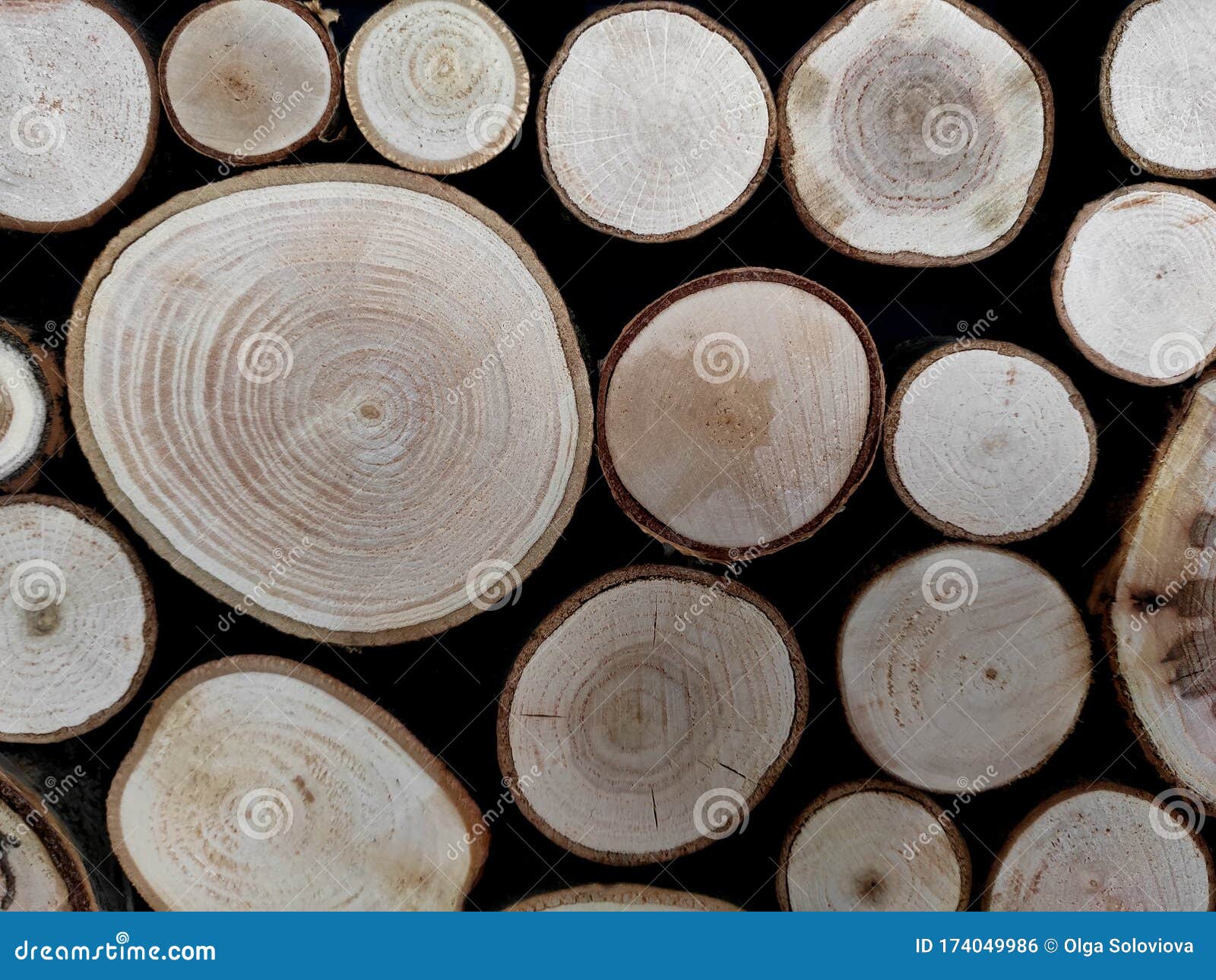 Tree Cut Background, Decoration of Cutting Tree Stock Photo - Image of ...