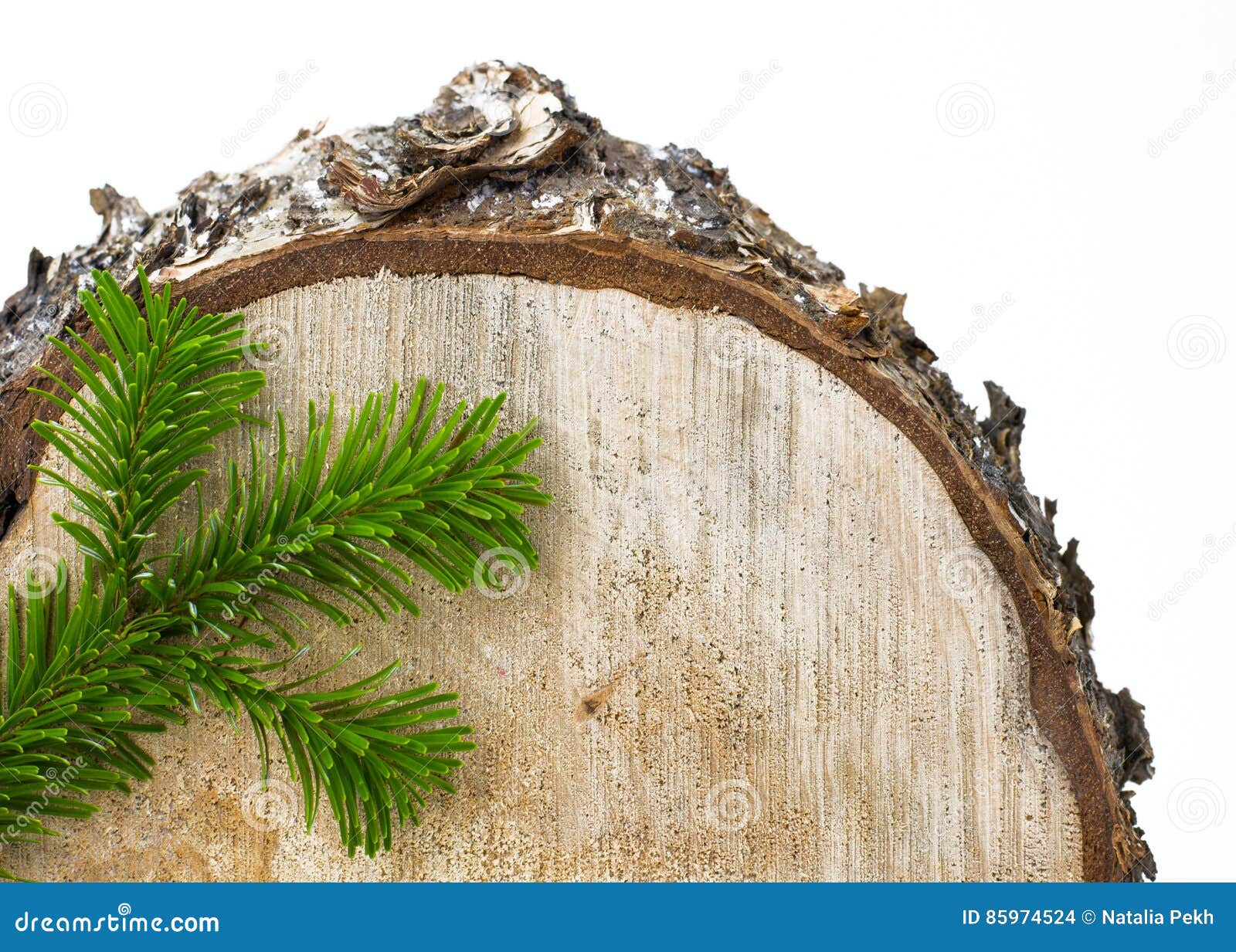 Tree cut down stock photo. Image of nature, background - 85974524