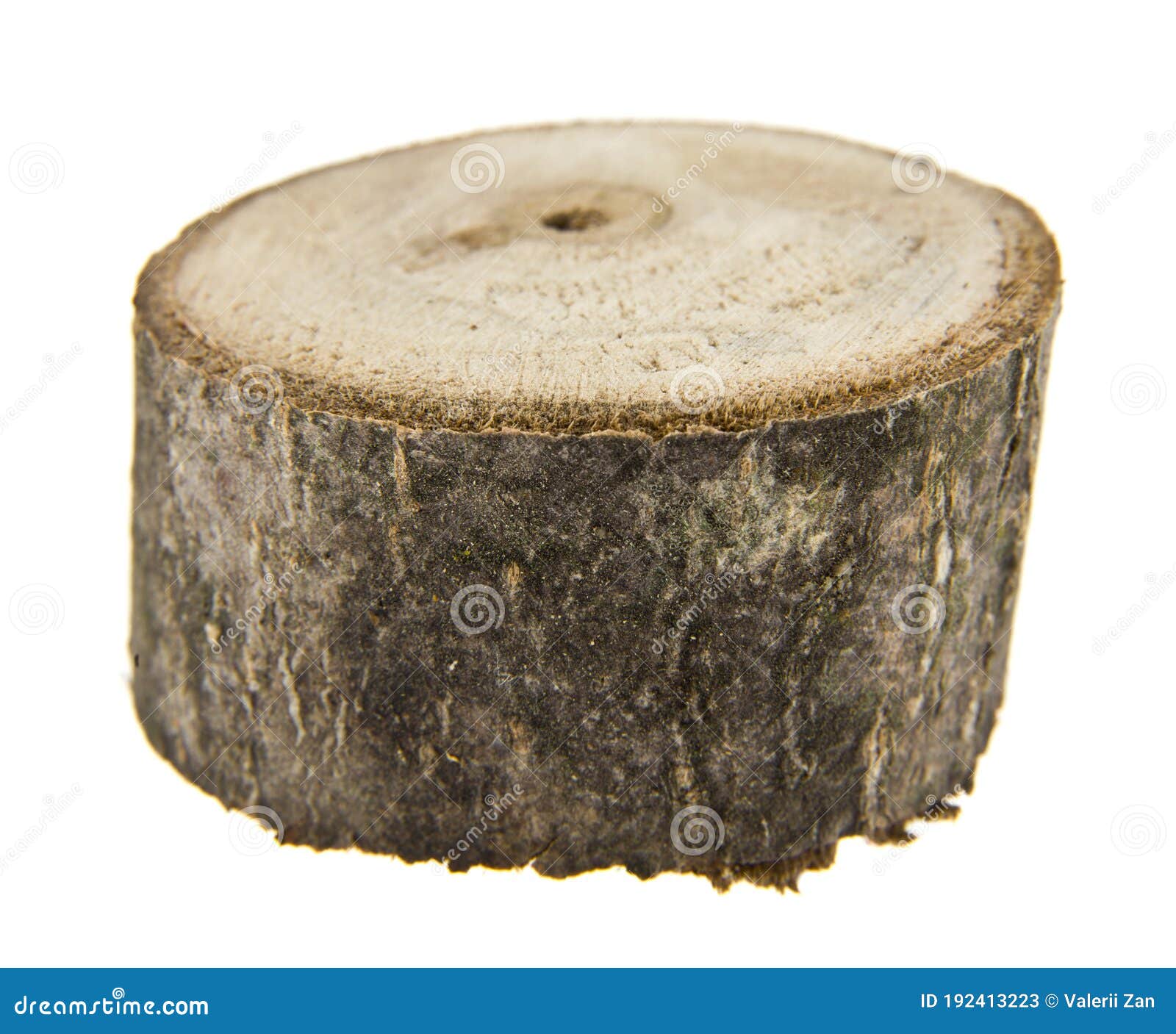 Tree Cut Isolated on White Background Stock Image - Image of background ...