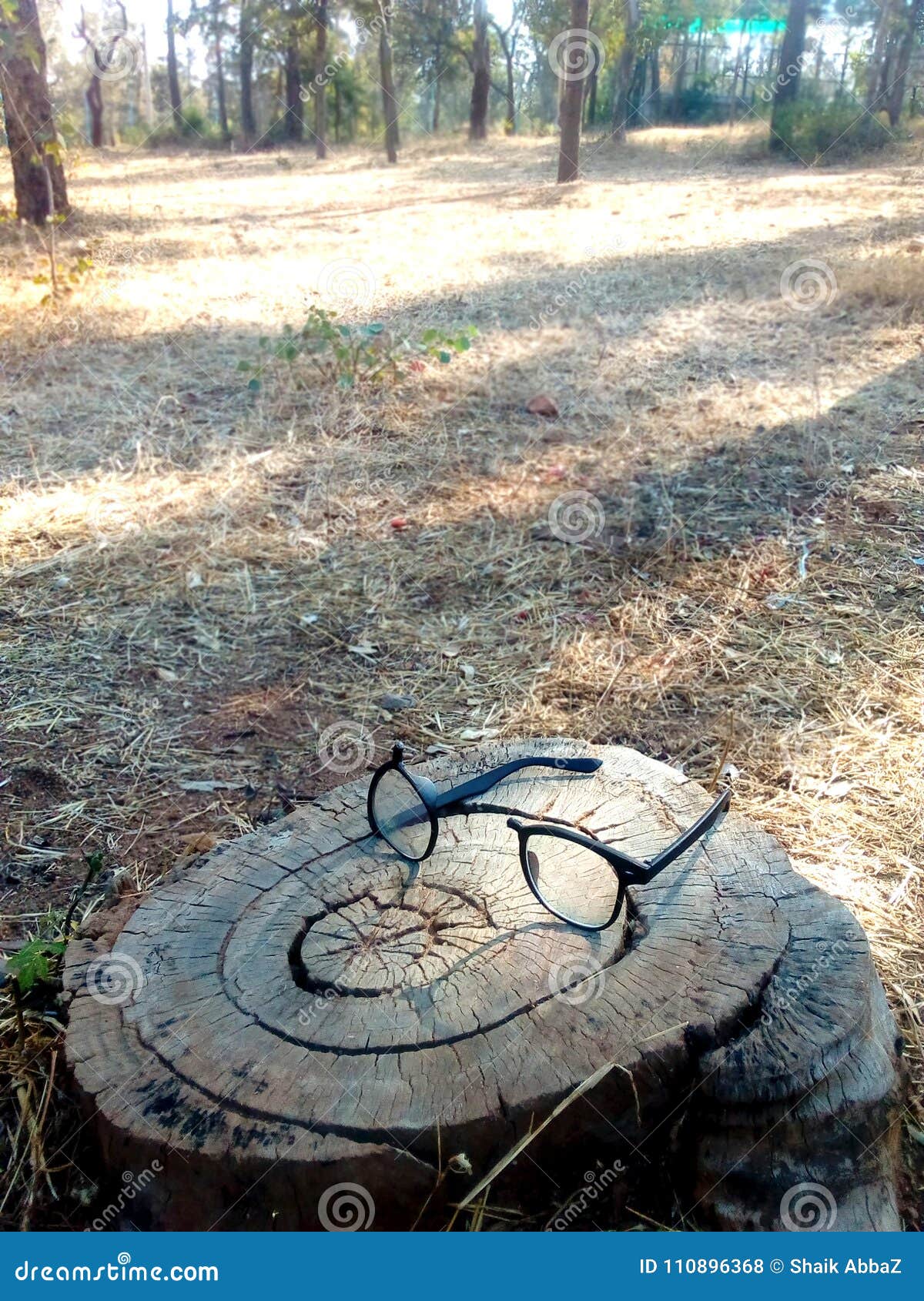 Tree Cut Off- Deforestation Stock Photo - Image of lovefailure, tree ...