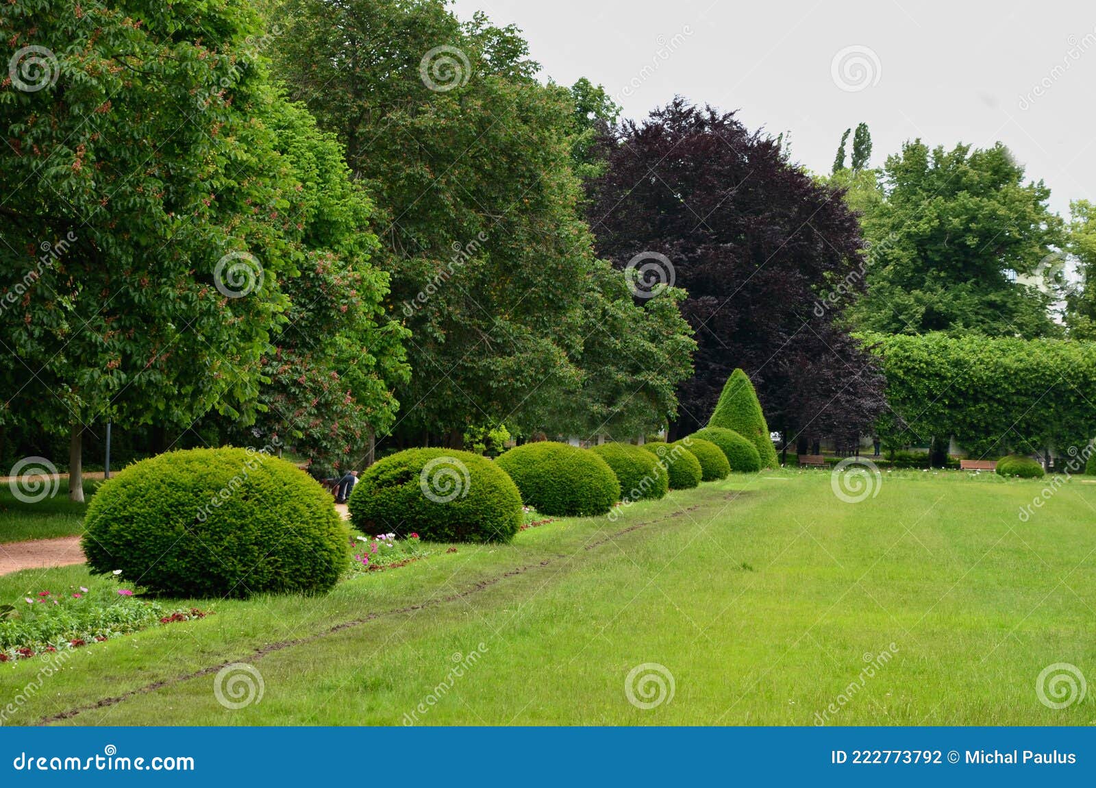 Tree Cut into the Shape of a Large Regular Cone and a Flattened Sphere ...