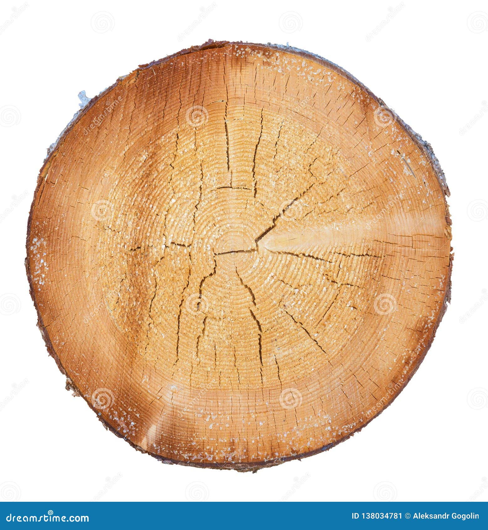 Tree in a cut stock image. Image of nature, brown, shape - 138034781