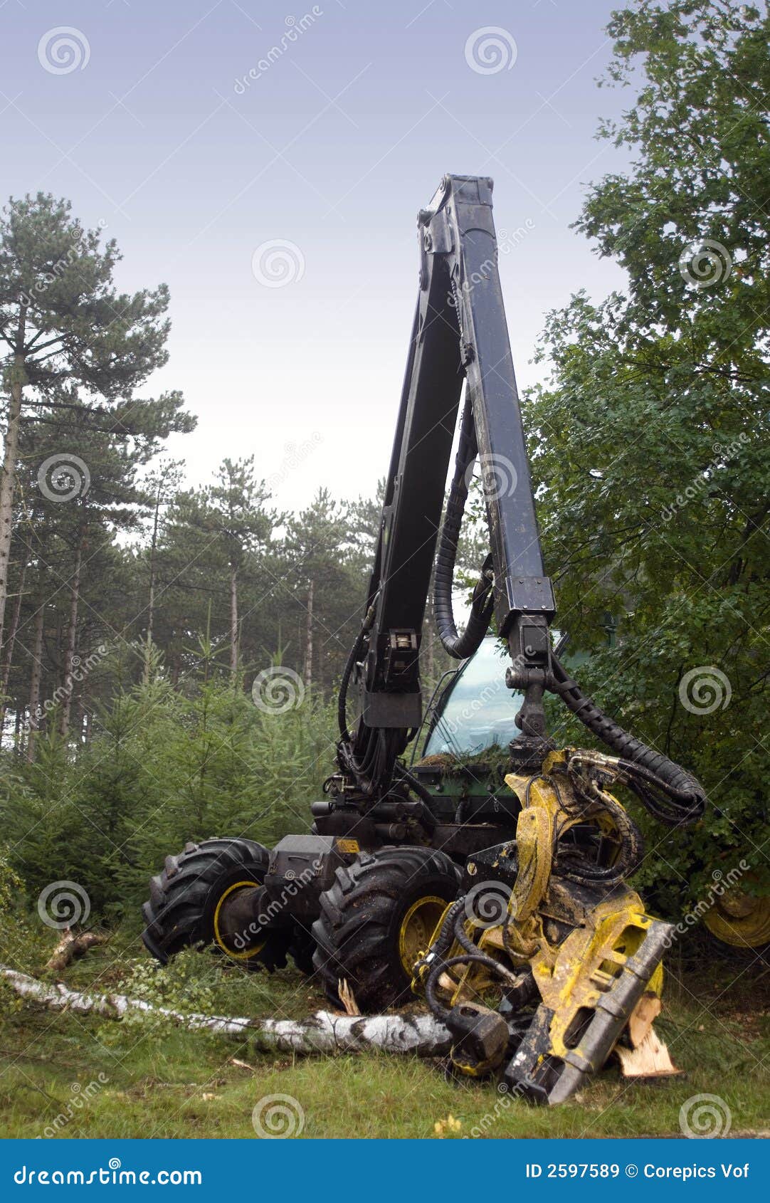 Tree cutter stock image. Image of mechanical, lumber, pines - 2597589