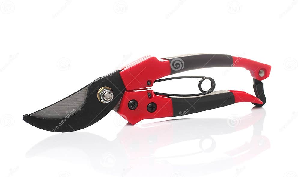 Tree Cutting Scissors stock photo. Image of cutting, pruning - 35299288