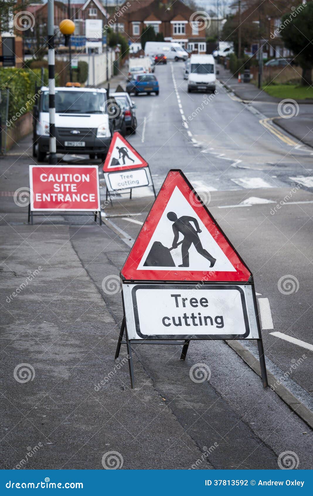 Tree cutting sign editorial photography. Image of england - 37813592