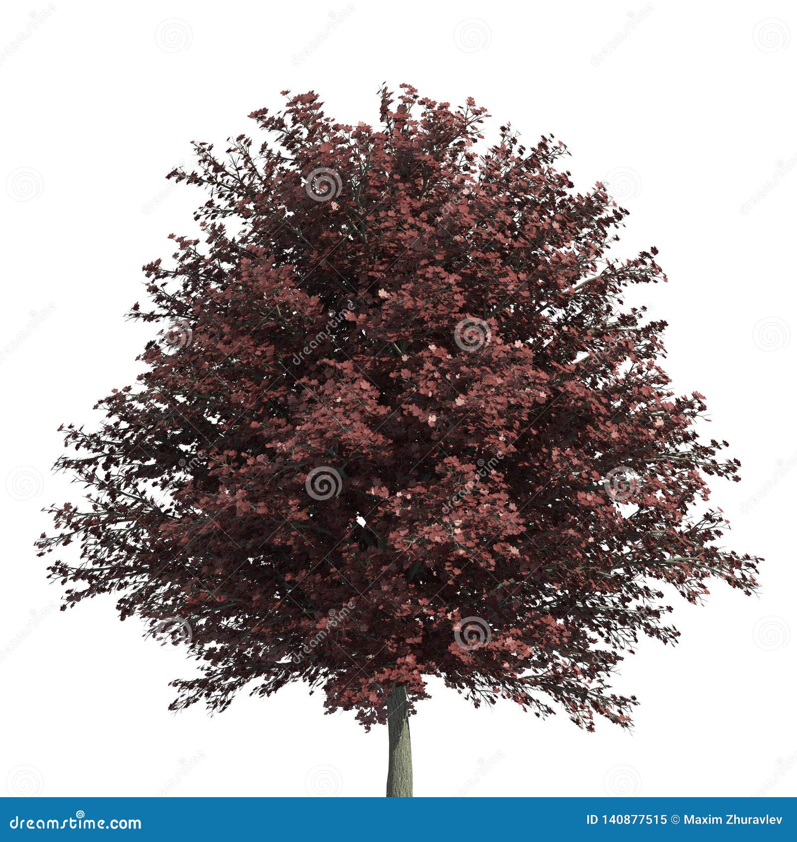 Tree 3d Illustration Isolated on the White Background Stock ...