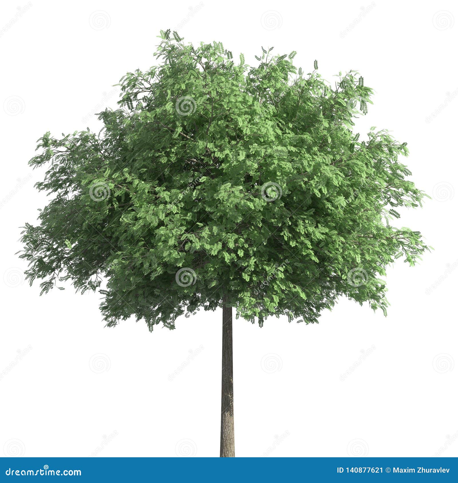 Tree 3d Illustration Isolated on the White Background Stock ...