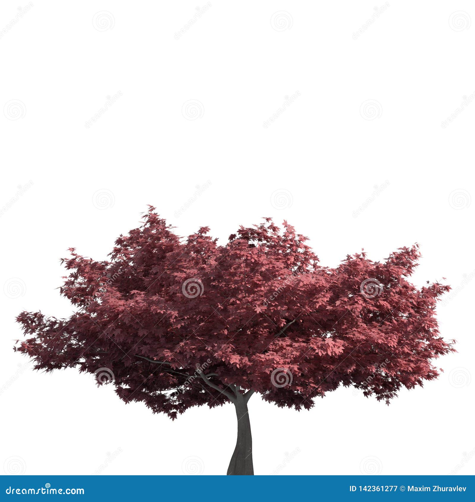 Tree 3d Illustration Isolated on the White Background Stock ...