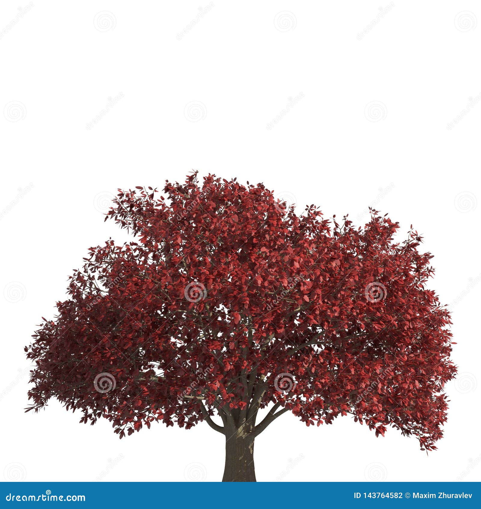 Tree 3d Illustration Isolated on the White Background Stock ...