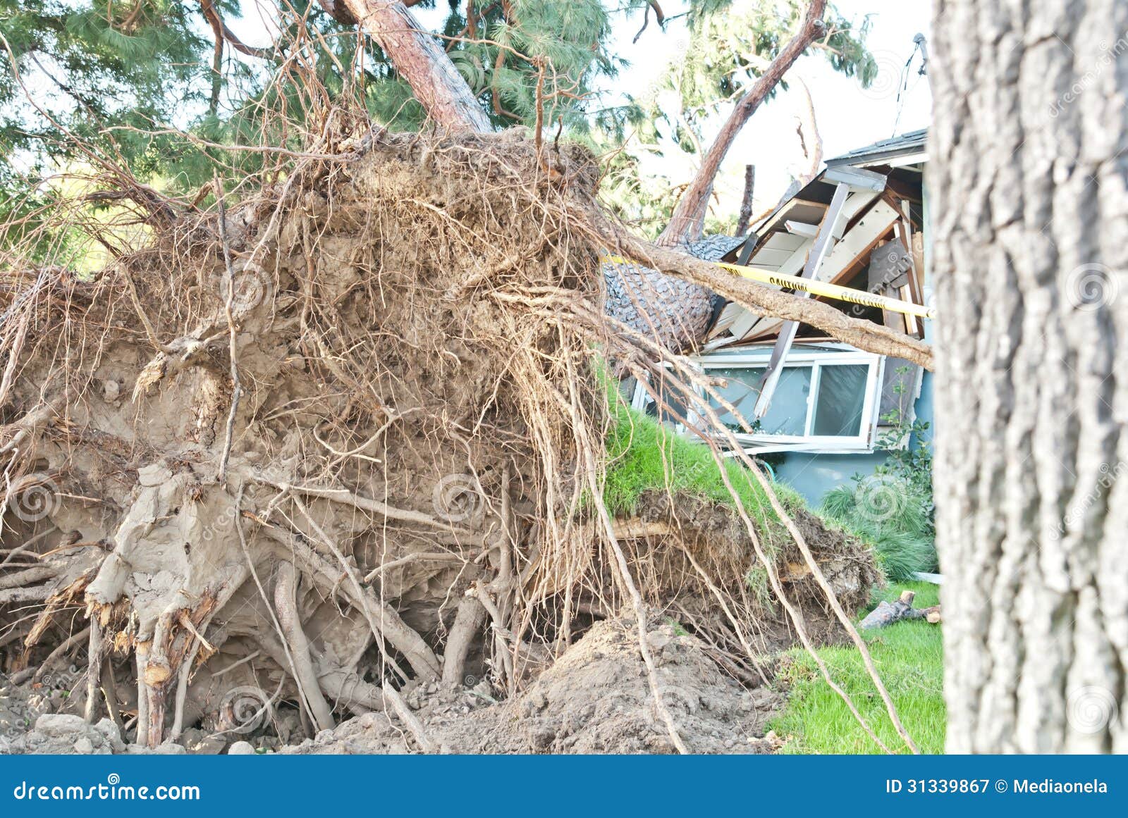 Tree Damages House stock image. Image of falls, storm - 31339867