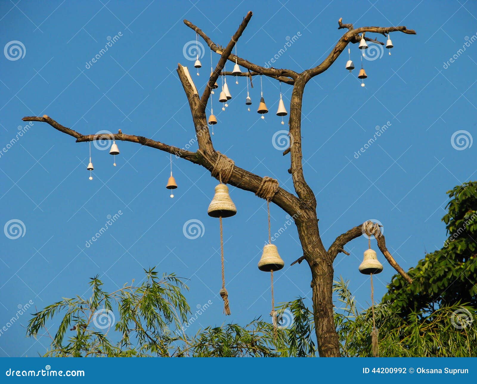Tree with Dangling Clay Bells Stock Photo - Image of installation, ring ...