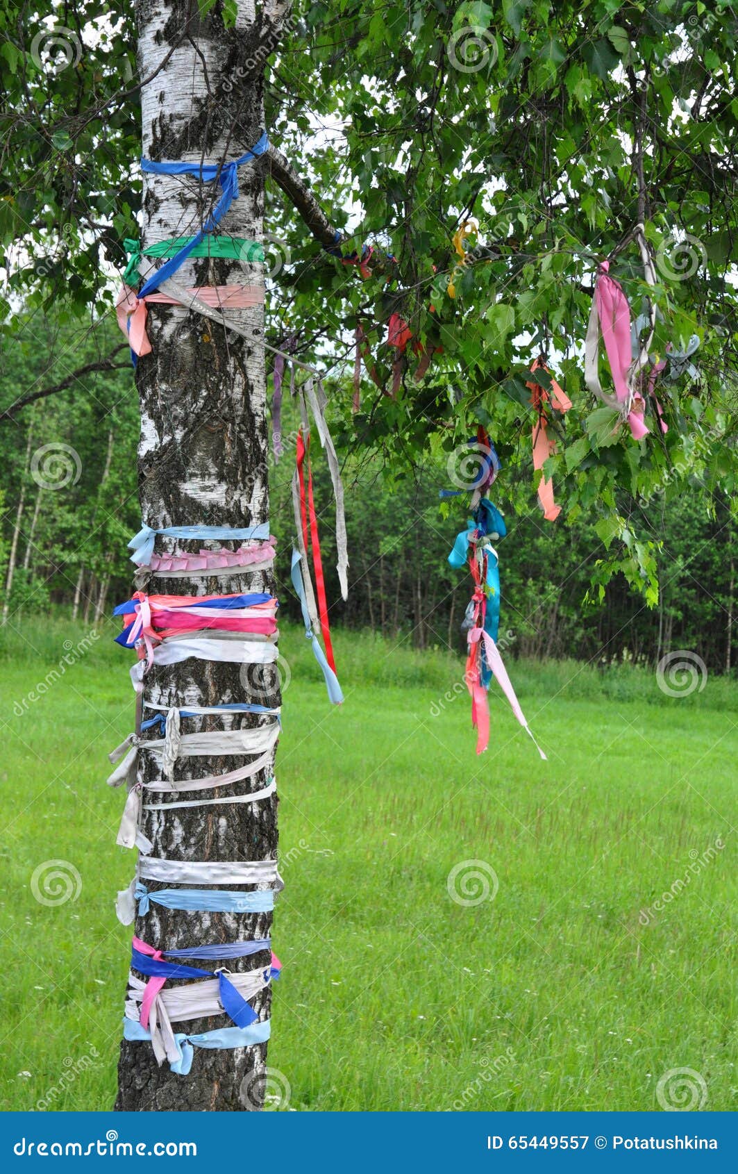 Tree Decorated with Colored Ribbons Stock Image - Image of material ...