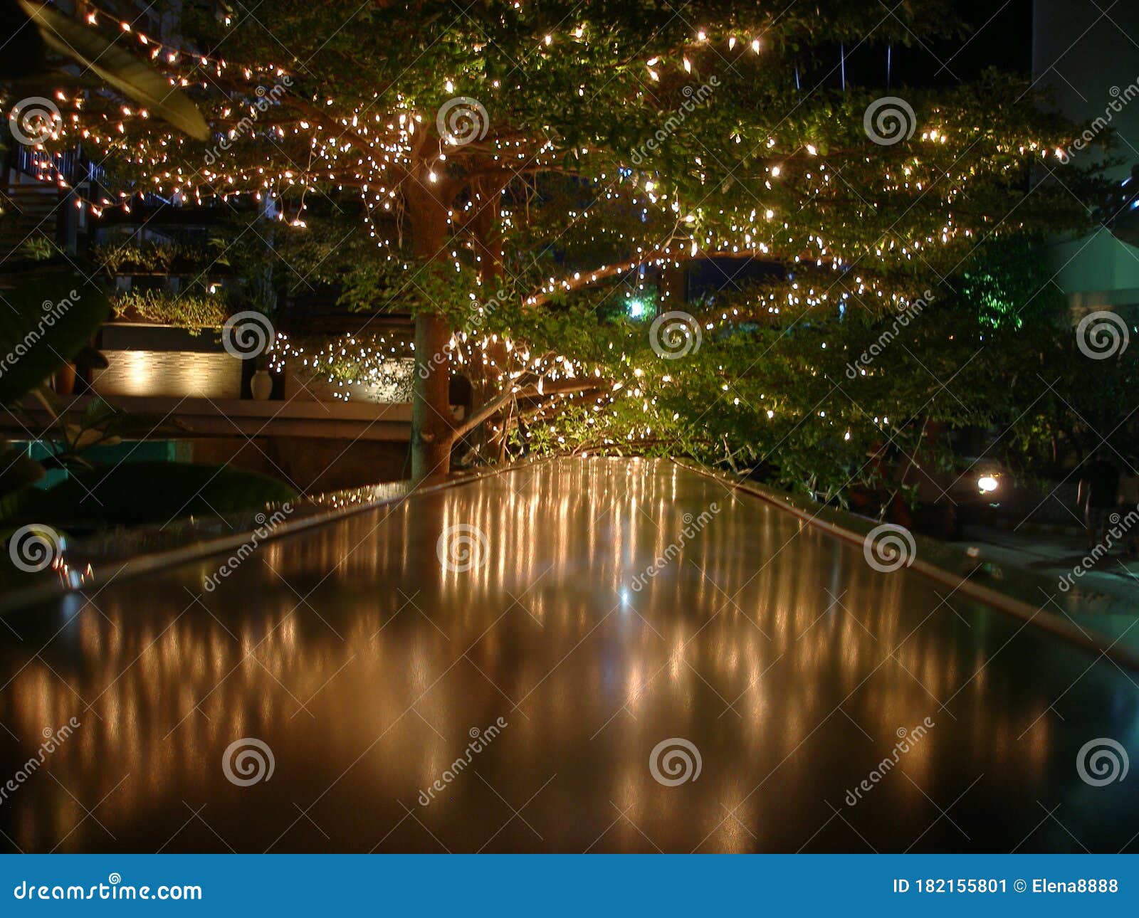 The Tree is Decorated with Lights Garlands in the Dark Night Lights are ...