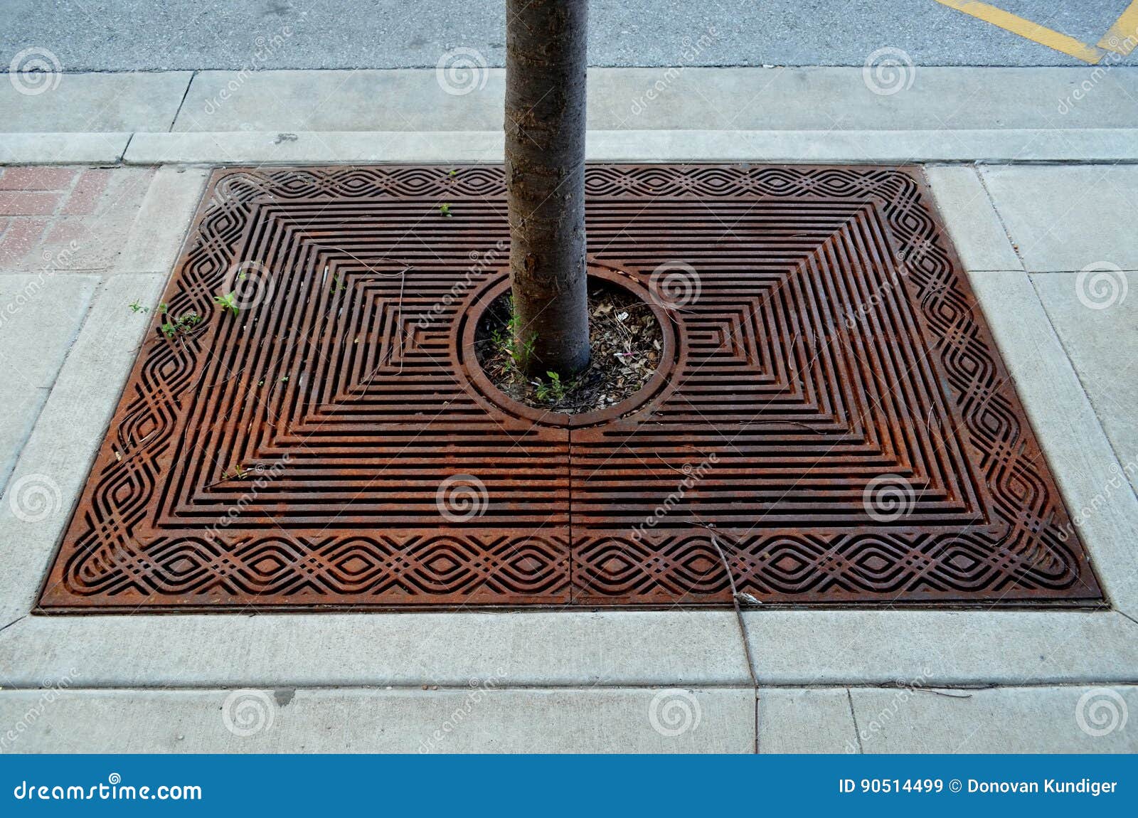 Tree in Decorative Sidewalk Grill Stock Image - Image of rusty, tree ...