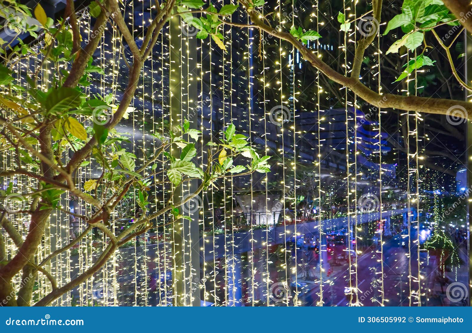 A Tree and Decorative String Lights with Traffic on Sukhumvit Road in ...
