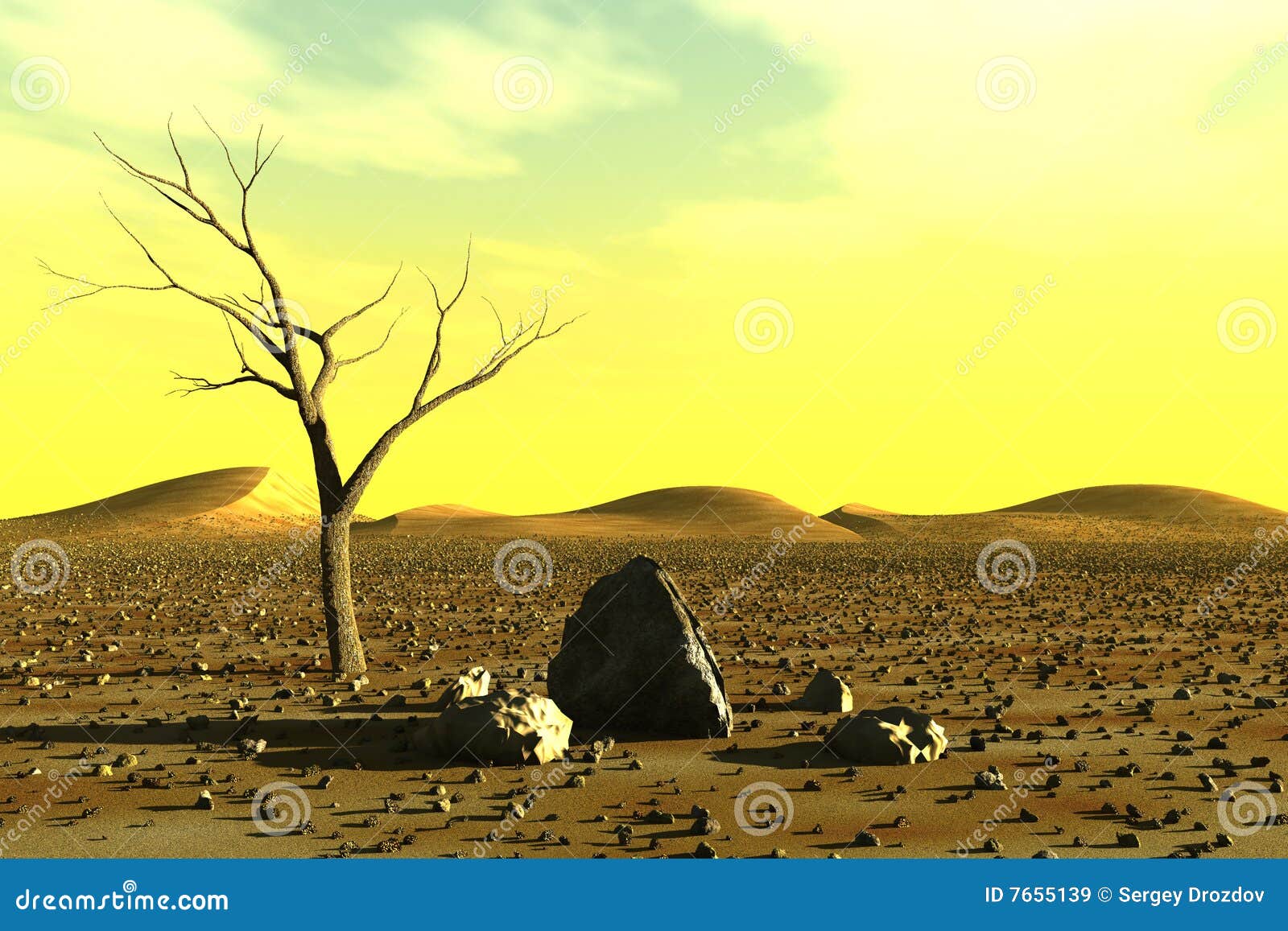 Tree in desert stock image. Image of light, trees, alone - 7655139