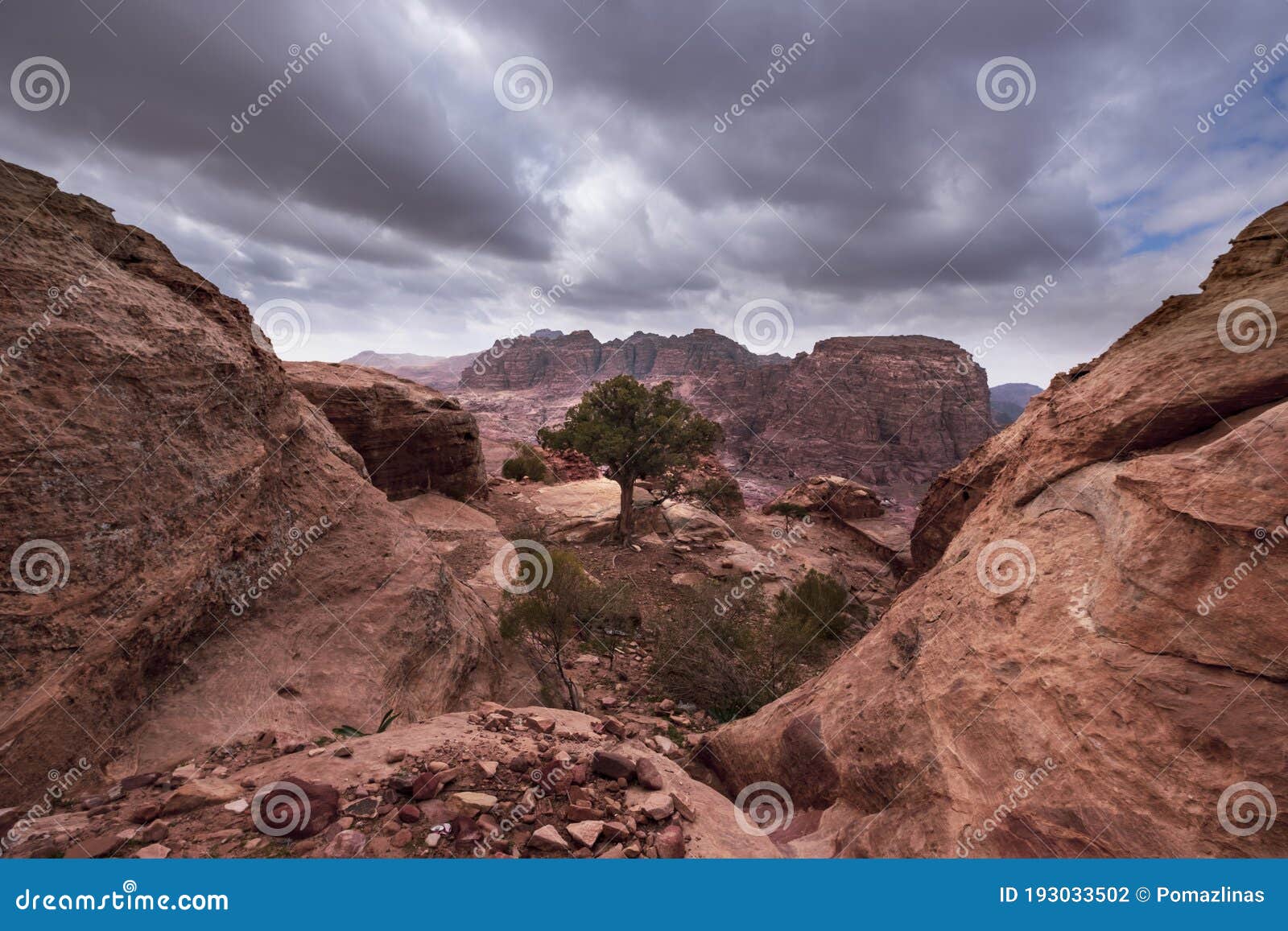 Tree in Deserted Mountains of Petra in Jordan Stock Photo - Image of ...