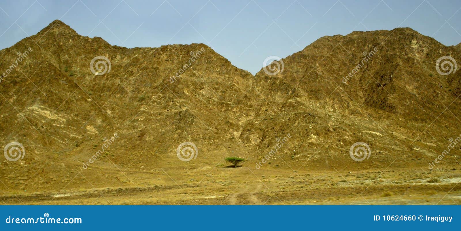 Tree in desolate mountains stock photo. Image of barren - 10624660