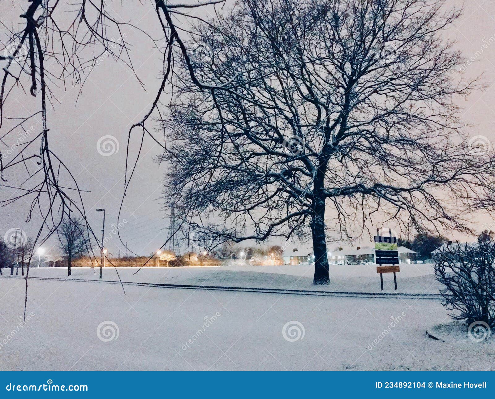 A Whiteout of Snow in Parkland Stock Photo - Image of whiteout, winter ...
