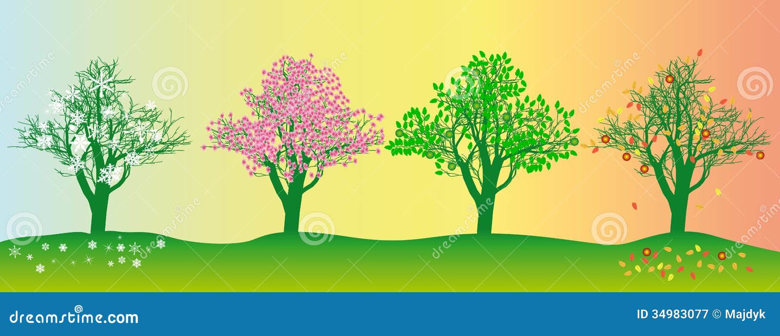 Tree in different seasons stock vector. Illustration of growth - 34983077